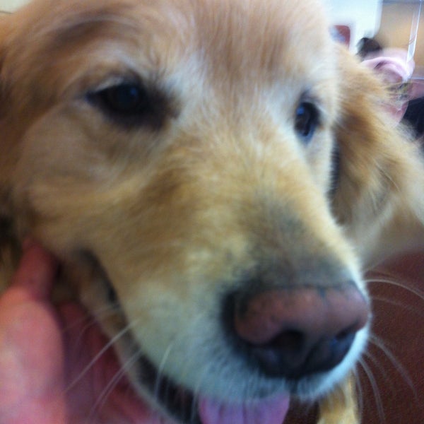 Frank Porter Graham Student Union - Student Center in Chapel Hill