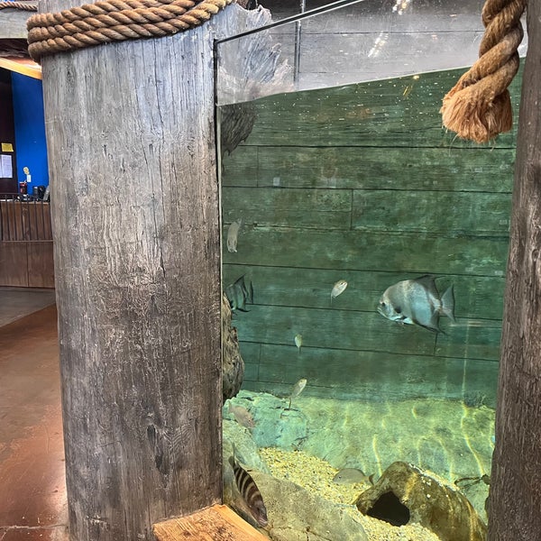 Bass Pro Shops - Sporting Goods Retail in Myrtle Beach