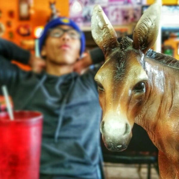 20 Mule Cafe