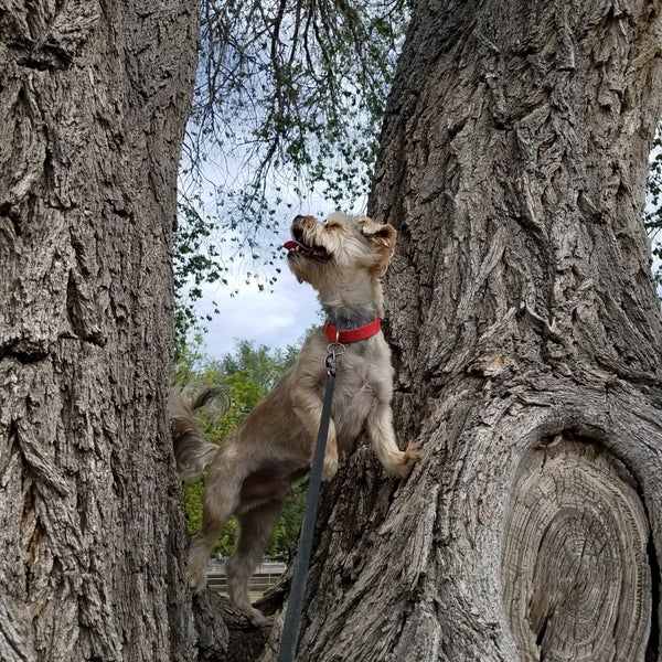 Cahoon Park - 3 tips