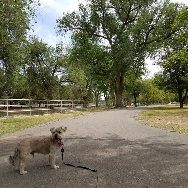 Cahoon Park - 3 tips