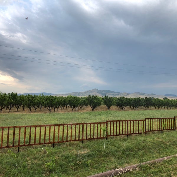 Qazax | Gazakh | Газах - City