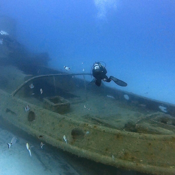 Rozi Wreck - 1 tip from 13 visitors