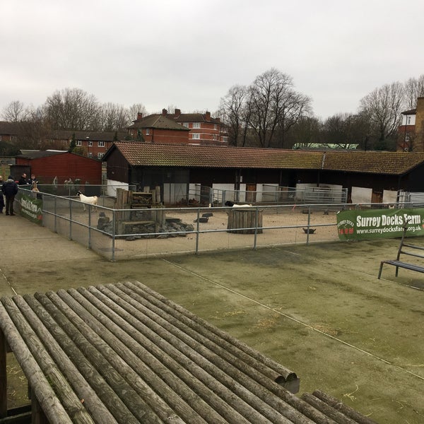 Photos at Surrey Docks City Farm - Farm in Surrey Docks