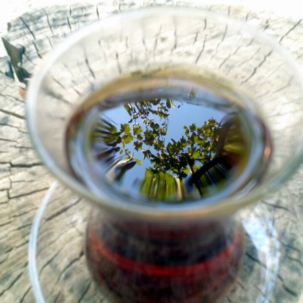 Güllerin Arasında Bahçede Çay Keyfi - Garden