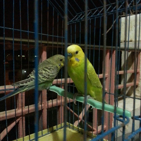 Opera City Compound - El-Sheikh Zayed City, Muḩāfaz̧at al Jīzah