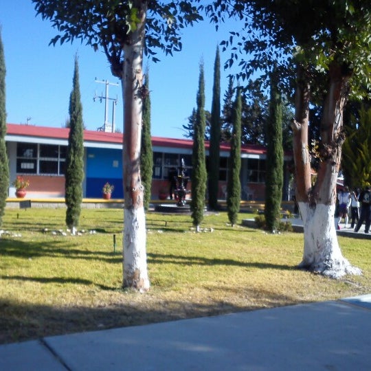 Cetis 142 - 8 visitors