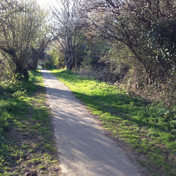 Rusthall Common - Other Great Outdoors in Royal Tunbridge Wells