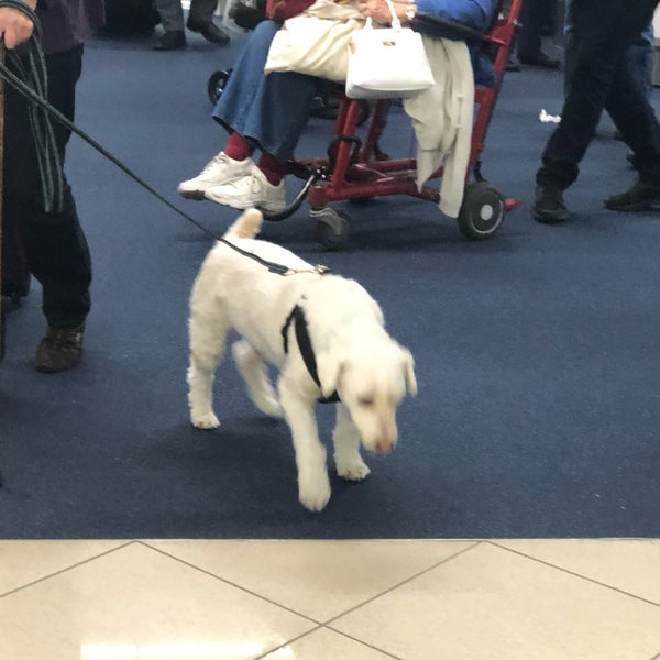 Gate A26 - 6 tips from 2354 visitors