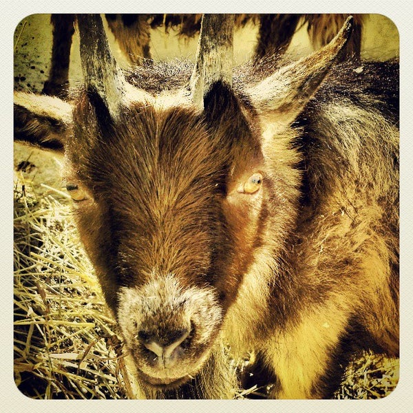 Rigaud, Quebec - Rigaud, PQ