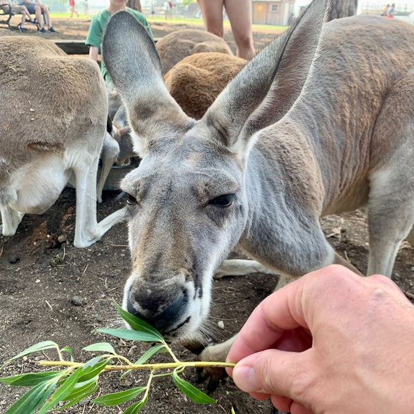 Kangaroo Creek Farm - 10 tips from 329 visitors
