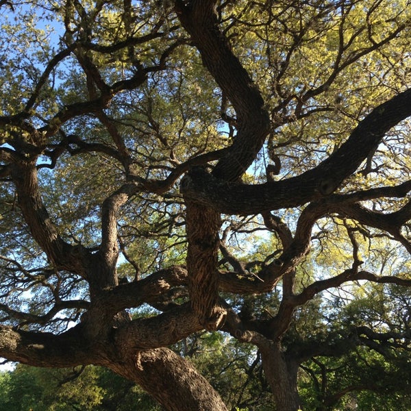 Photos at Big Stacy Pool - 700 E. Live Oak St.