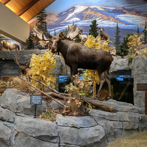 Cabellas ma store