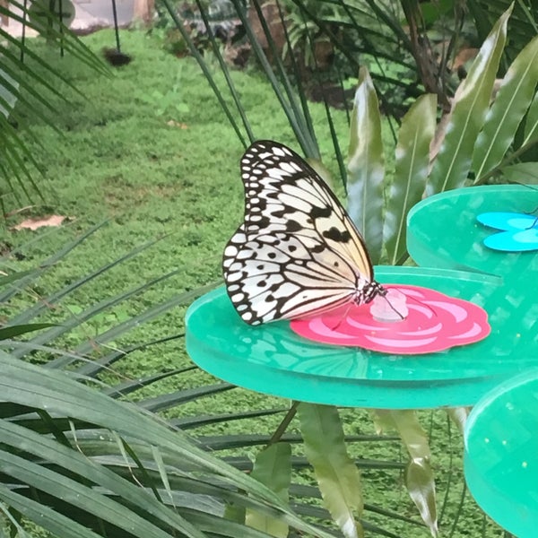 Photos at Vlindertuin - Zoo Exhibit in Antwerpen