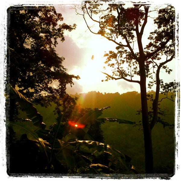 Taman Nasional Meru Betiri (TNMB) - Jember - Banyuwangi