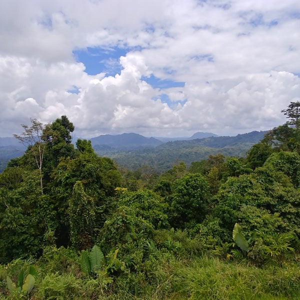 danum valley field centre - 1 tip from 30 visitors