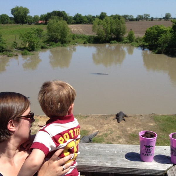 Alligator Alley - 19950 County Road 71