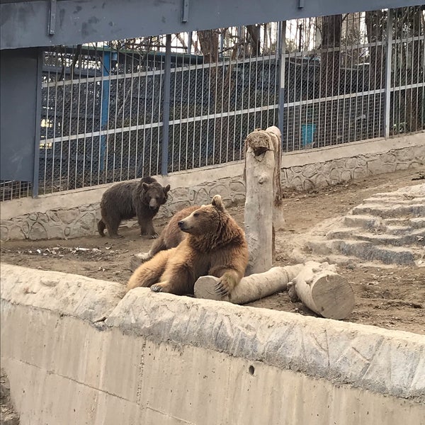 Photos at Tehran Zoo | باغ وحش تهران - منطقه ۵ - Eram Park