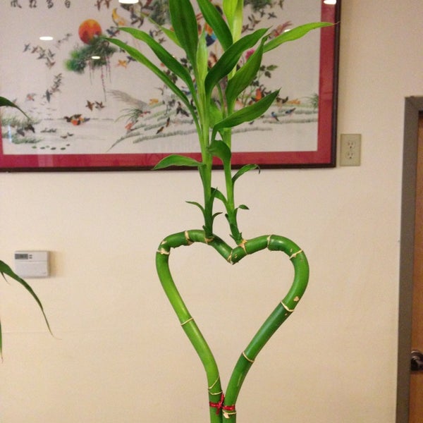 Asian Palace Bangor Maine