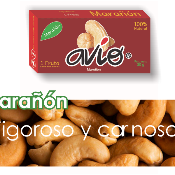 AVIO Frutos secos - 6 tips