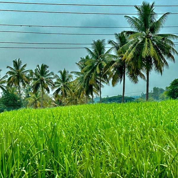 Mandya - 3 tips