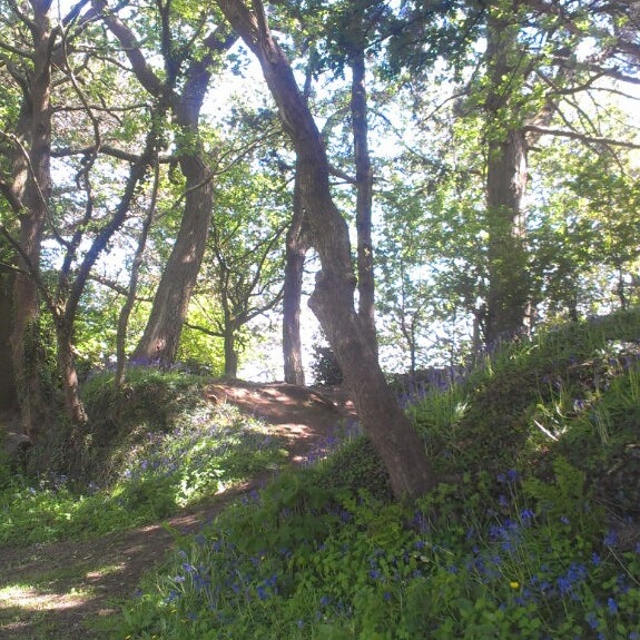 Parc Howard - Park in Llanelli