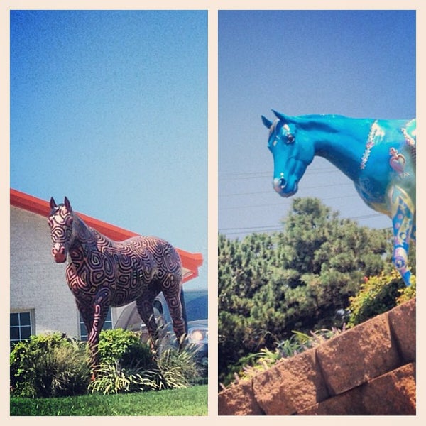 Sallisaw Creek State Park - 1 tip