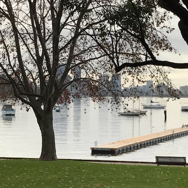 Are Dogs Allowed At Matilda Bay Reserve