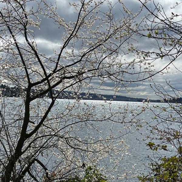 Clarke Beach Park Mercer Island