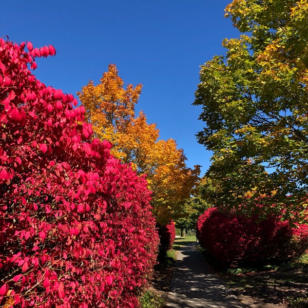 West I-90 Lid Park - Park in Mercer Island