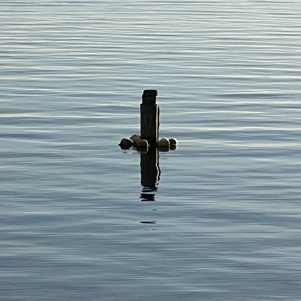 Clarke Beach Park Mercer Island