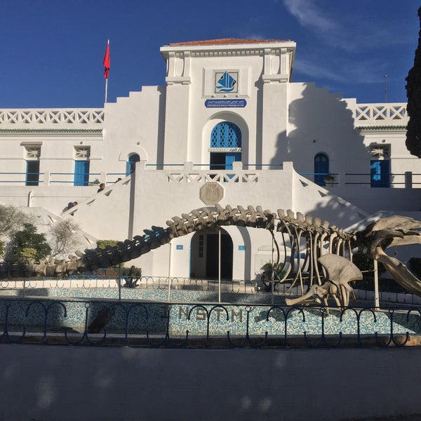 Musée Océanographique de Salammbô | متحف دار الحوت - Carthage - 1 tip