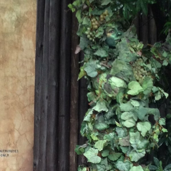 Divine The Tree Lady - Winter Garden, FL