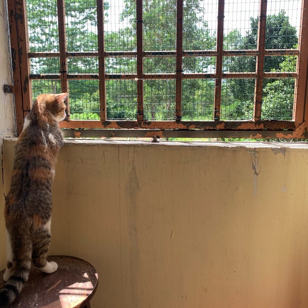 Maslee Express - Supermarket