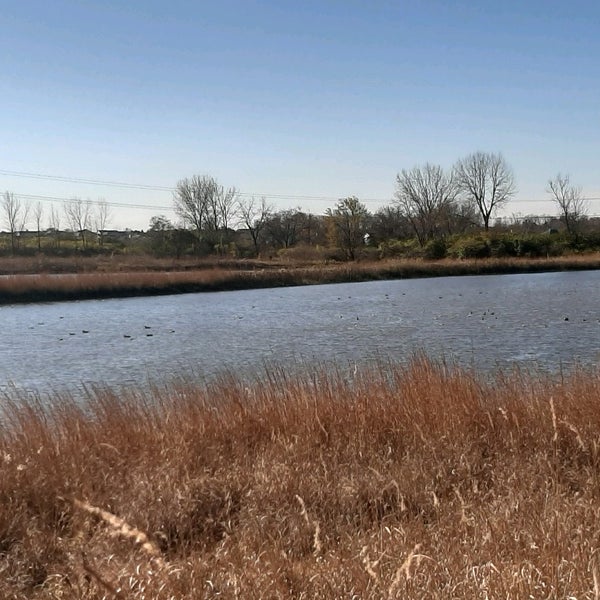 Whalon Lake - 6 tips from 368 visitors