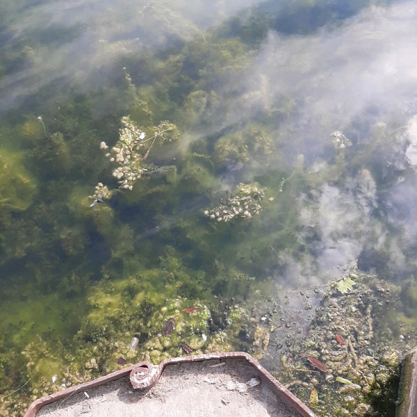 Whalon Lake - 6 tips from 373 visitors