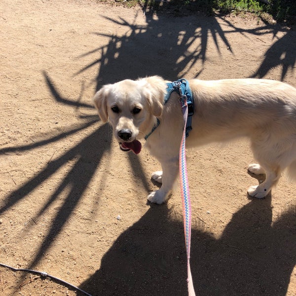 Tustin Branch Trail / Esplanade Trail - 8 tips from 236 visitors