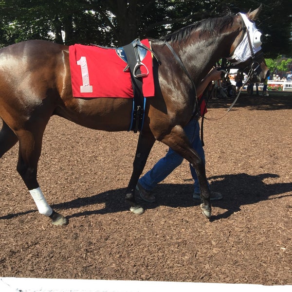 Monmouth Park Racetrack - 38 tips from 6332 visitors
