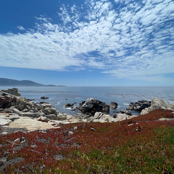 Pescadero Point - 4 tips from 1163 visitors