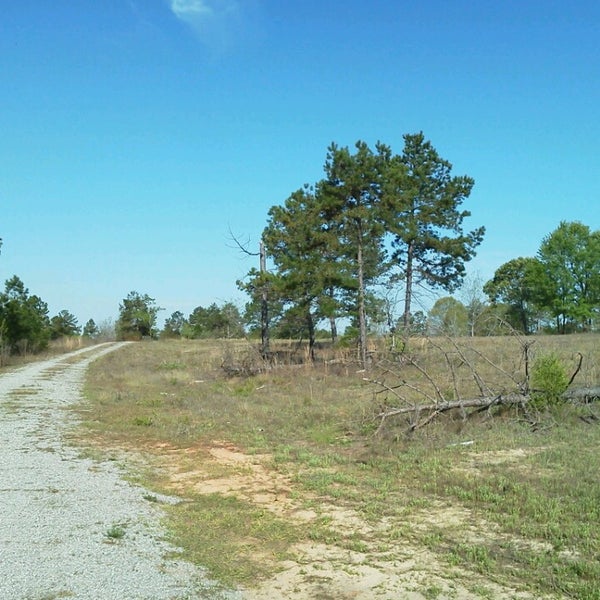 Photos at Artillery Impact Area - Military Base