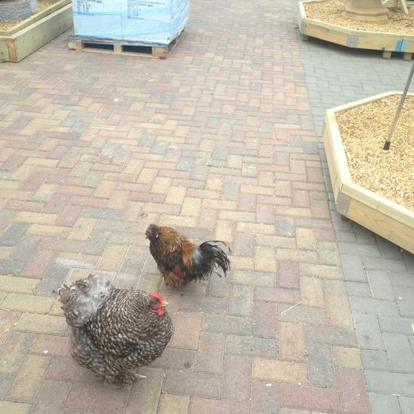 Dobbies Garden Centre Liverpool - Speke-Garston - Liverpool, Liverpool