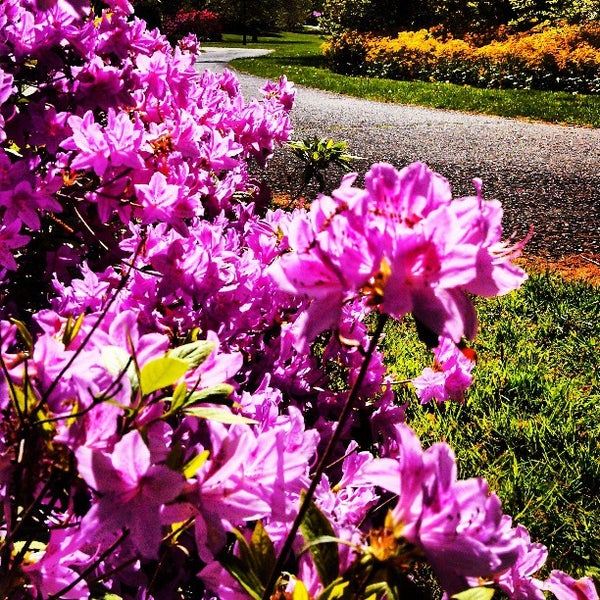 Azalea Gardens - West Philadelphia - 7 tips