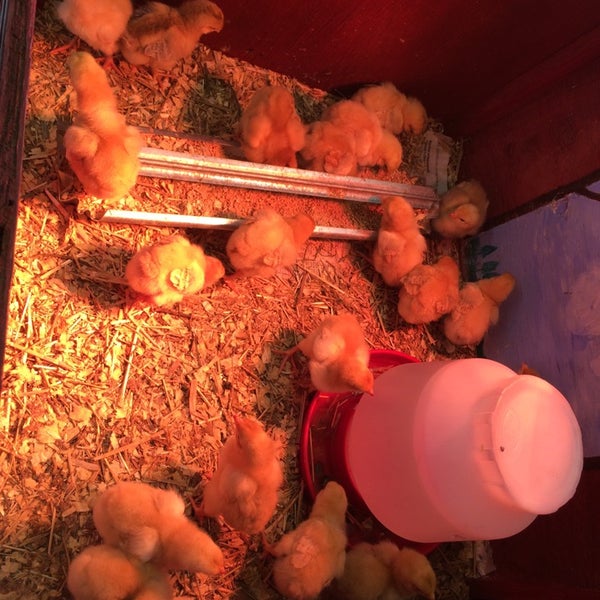 Orde Farm Hardware Supply - Hollis, NH