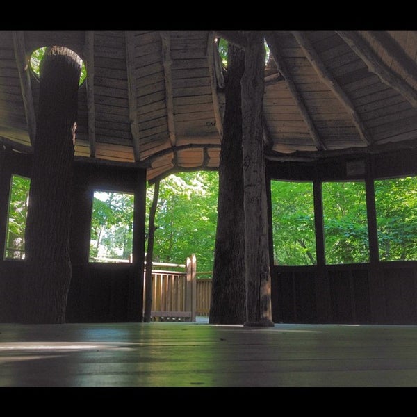 Mount Airy Forest Treehouse - Mount Airy - 62 visitors