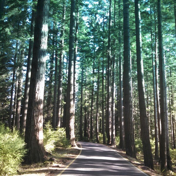 Sudden valley gate 2 - 13 visitors