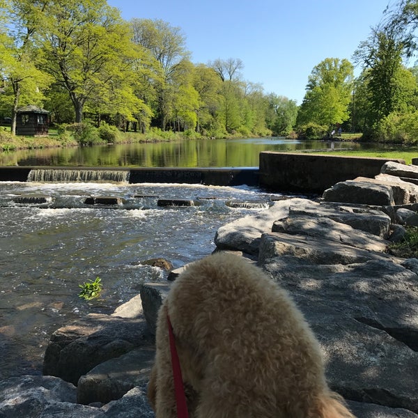 Demarest Duck Pond - 2 tips from 220 visitors