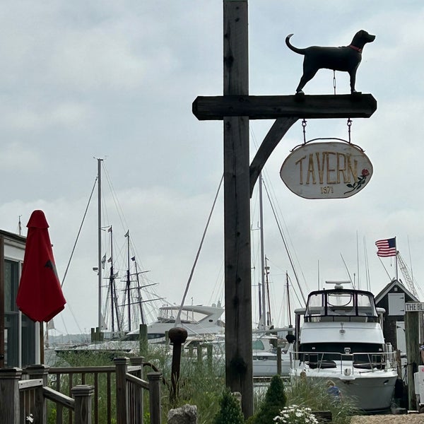 The Black Dog Tavern - 49 tips from 2845 visitors