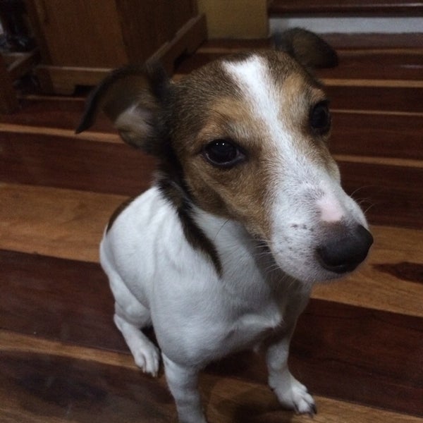 MEIZ - ปากเกร็ด, นนทบุรี