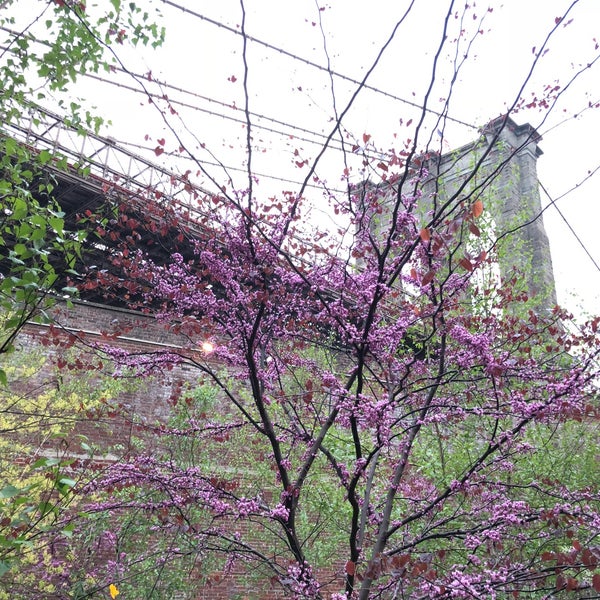 The Max Family Garden - DUMBO - Brooklyn, NY