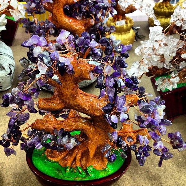 Taman Botanic - 3 tips from 549 visitors